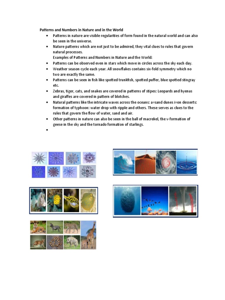 Math Reviewer Pdf Numbers Sequence