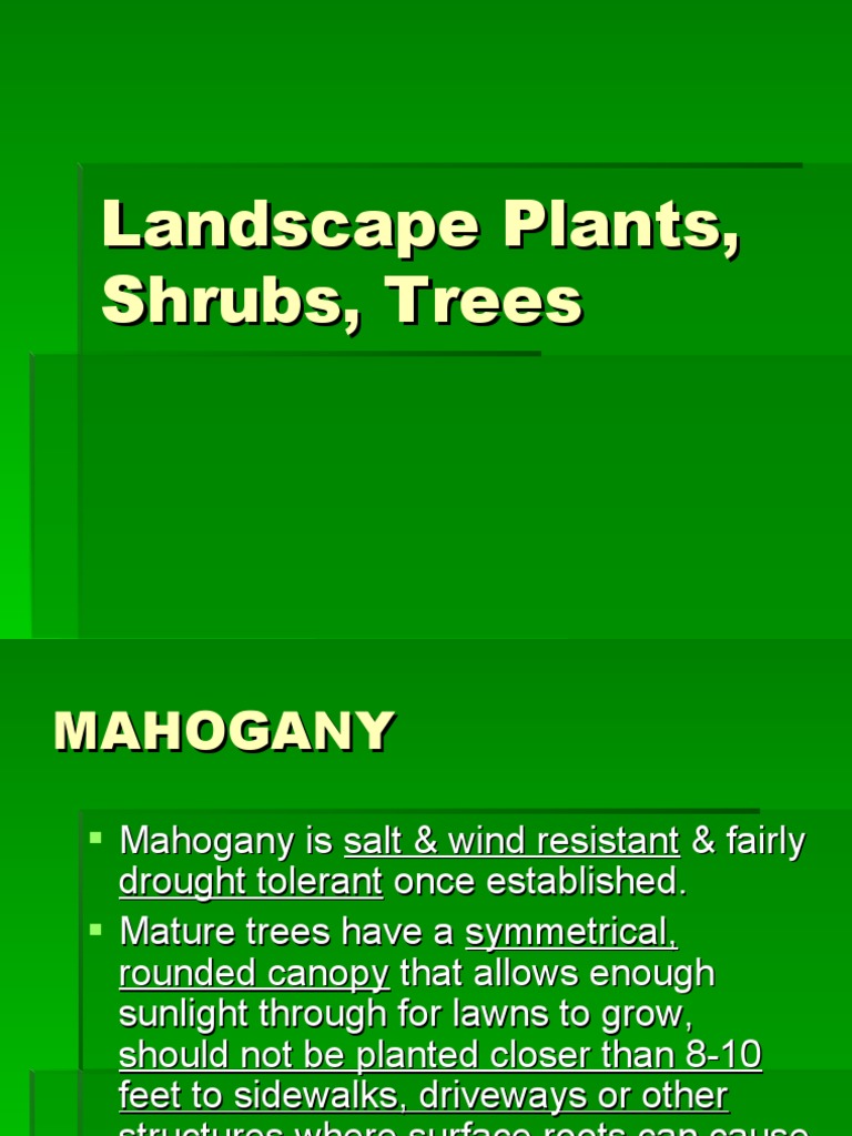Landscape Plants, Shrubs & Trees | PDF | Trees | Coconut