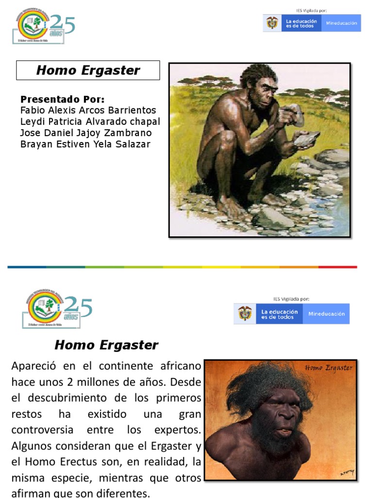 Homo Ergaster | PDF | Homo | Épocas geológicas