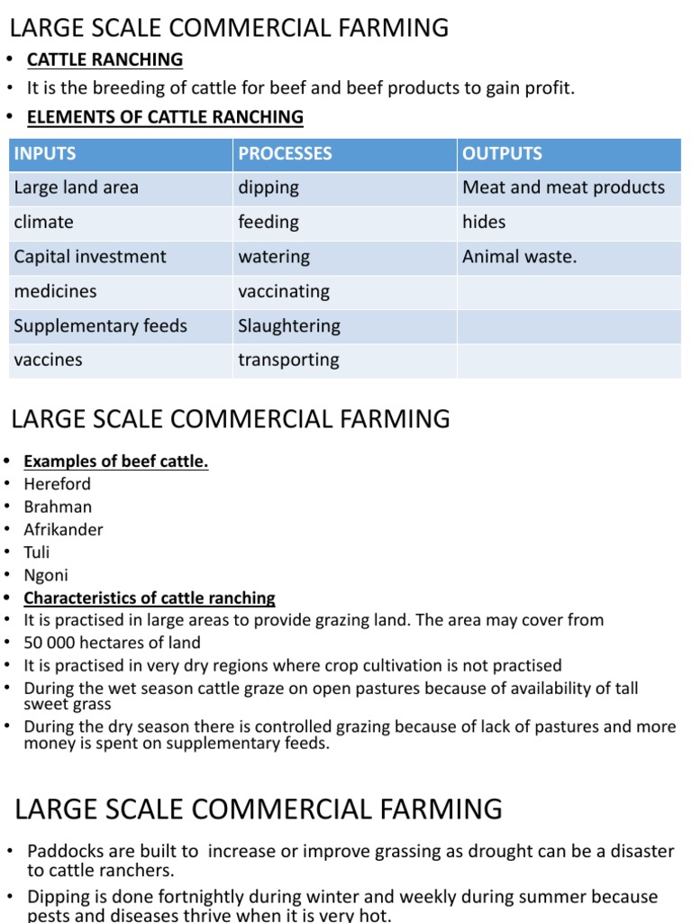 Characteristics of Large-Scale Farming | PDF | Plantation | Intensive ...