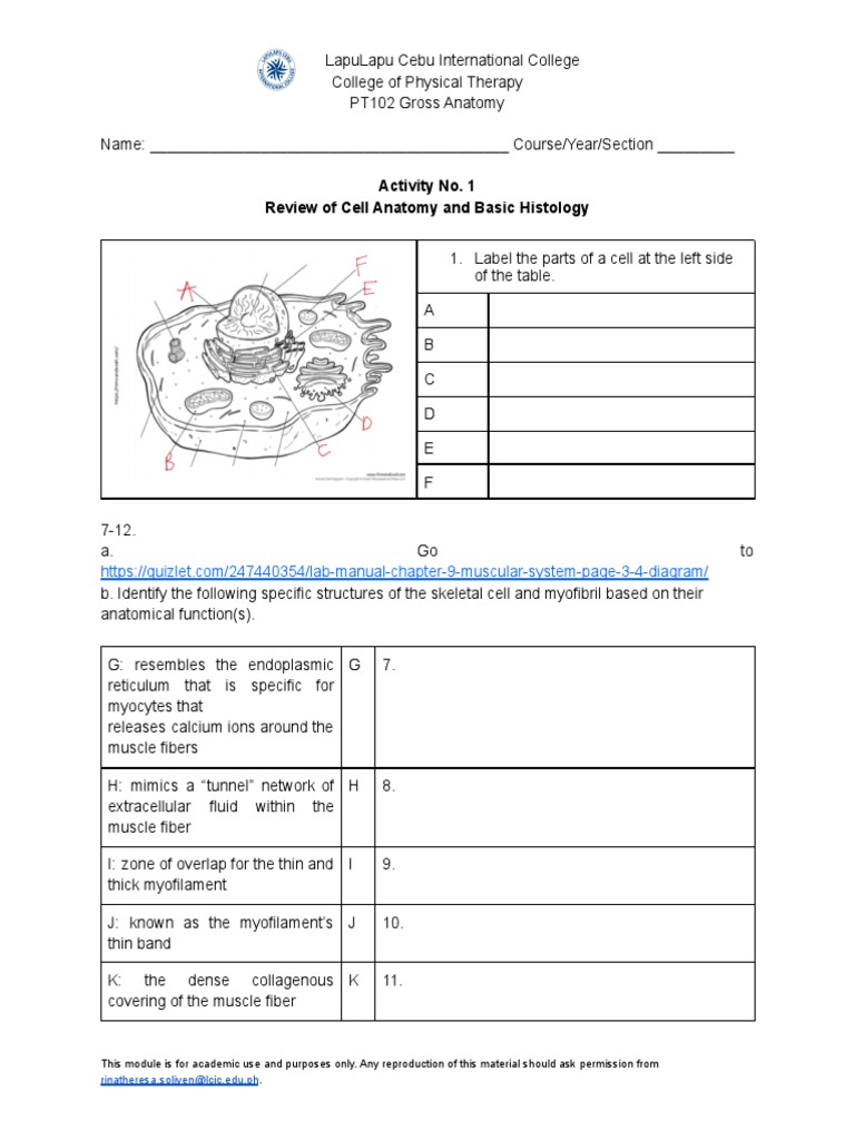 PT102 Anatomy Activity 1 | PDF