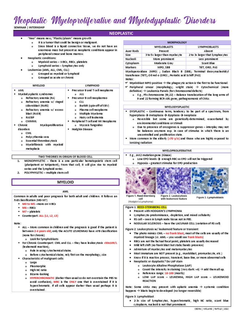 SEMINAR 3 Neoplastic, Myeloproliferative and Myelodysplastic Disorders ...