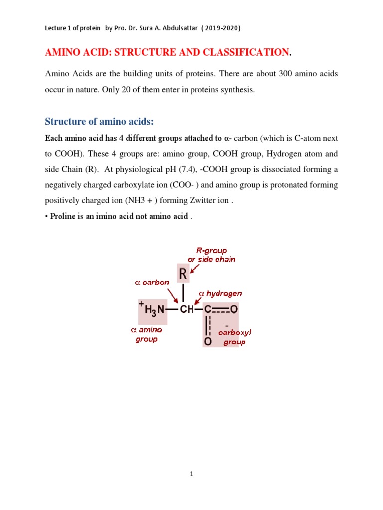 Amino Acids: Structure and Classification | PDF