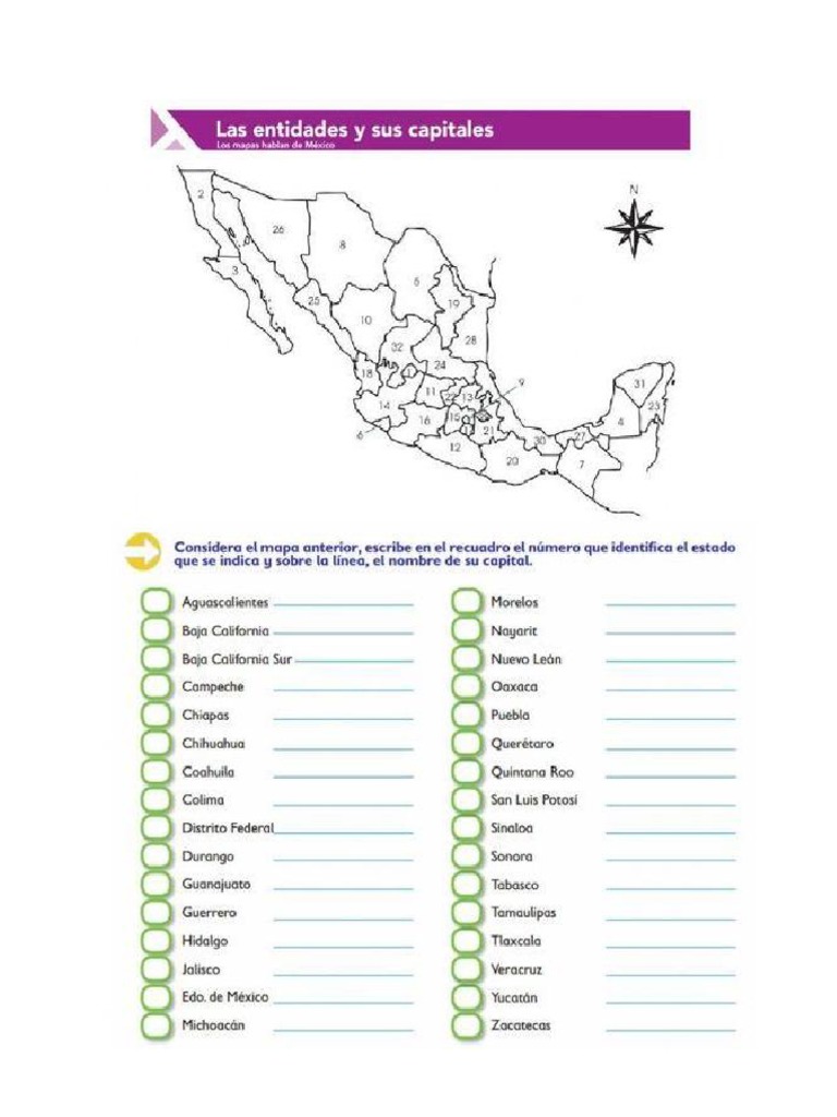 Entidad y Capital | PDF
