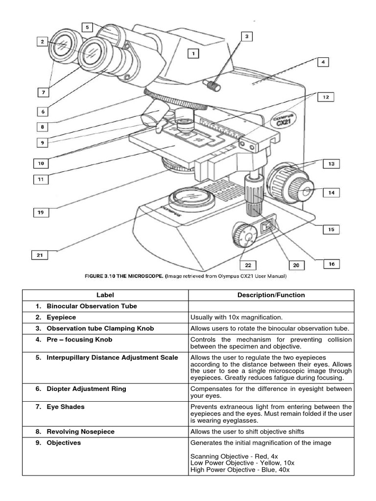 Anaphy Lab Notes Specimen Slides | PDF | Atomic | Microscopy