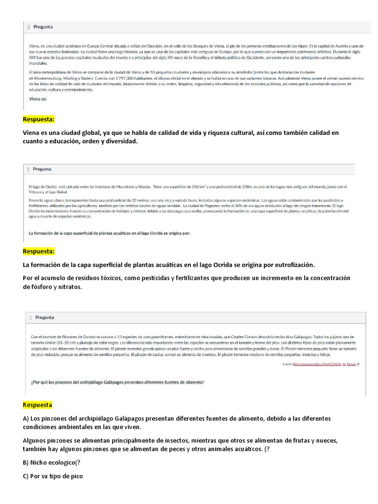 Practica Calificada - Individuo (PC1) | PDF