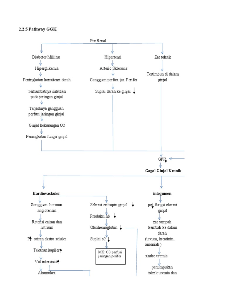 2.2.5 Pathway GGK: Gagal Ginjal Kronik | PDF