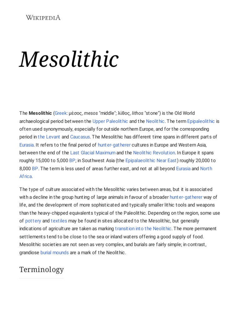 Understanding the Mesolithic Era | PDF