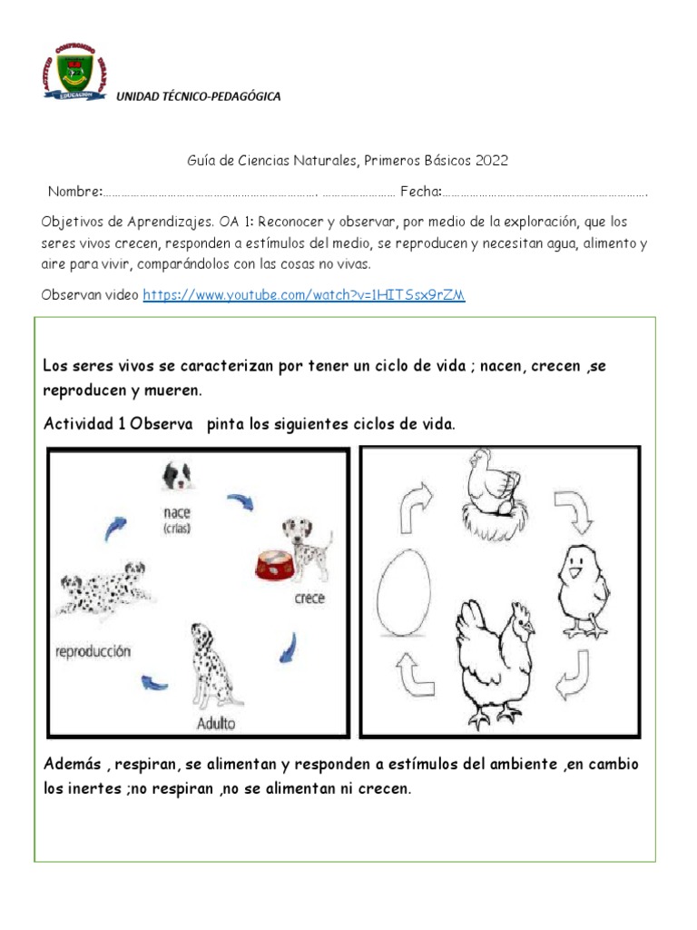 Guia Ciencias Naturales 1° Seres Vivos e Inertes | PDF | Salud y bienestar