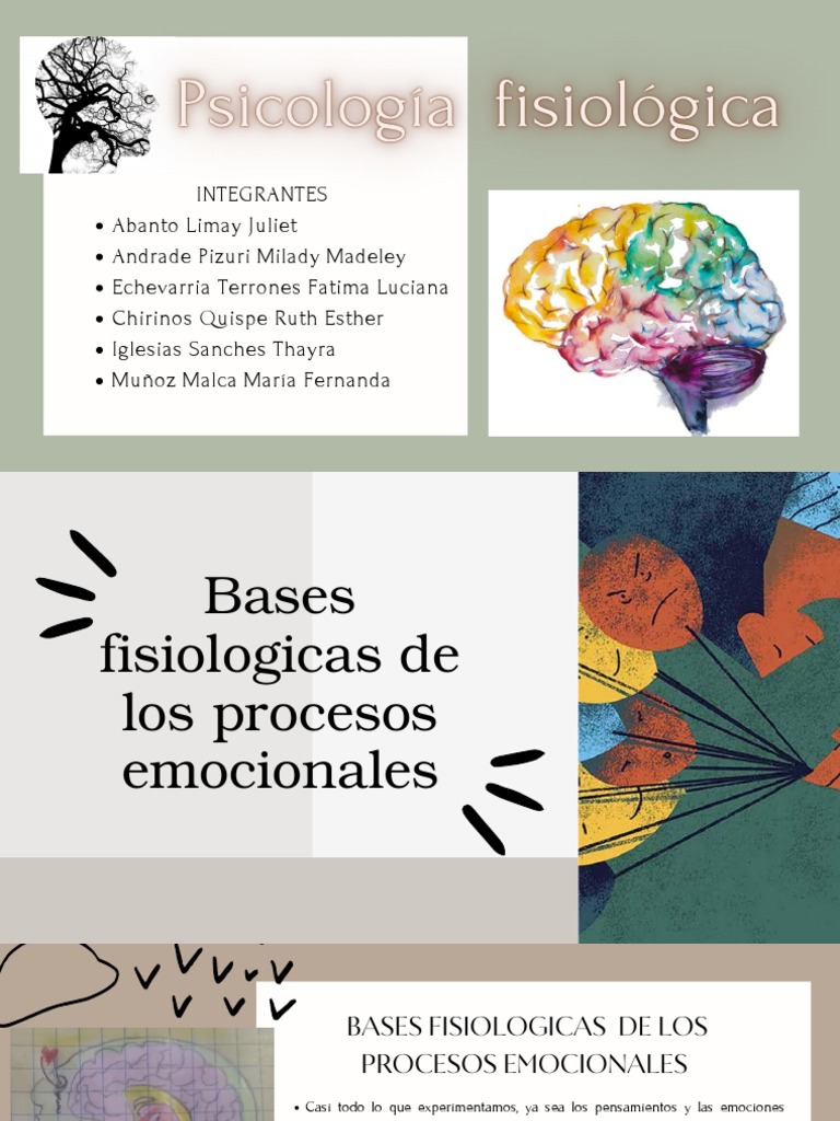 Bases Fisiologicas de Los Procesos Emocionales | PDF | Las emociones ...