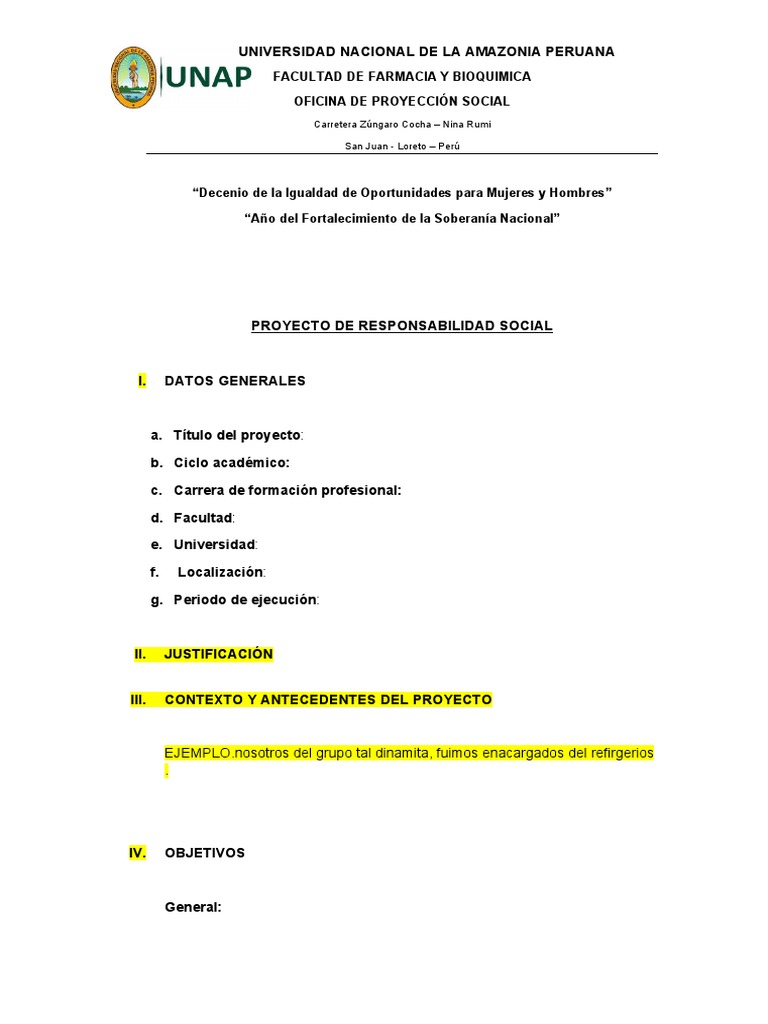 Proyecto de Responsabilidad Social Ejemplo | PDF