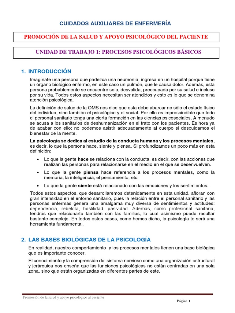 Ut1 Procesos Psicológicos Básicos | PDF | Sinapsis | Sistema nervioso