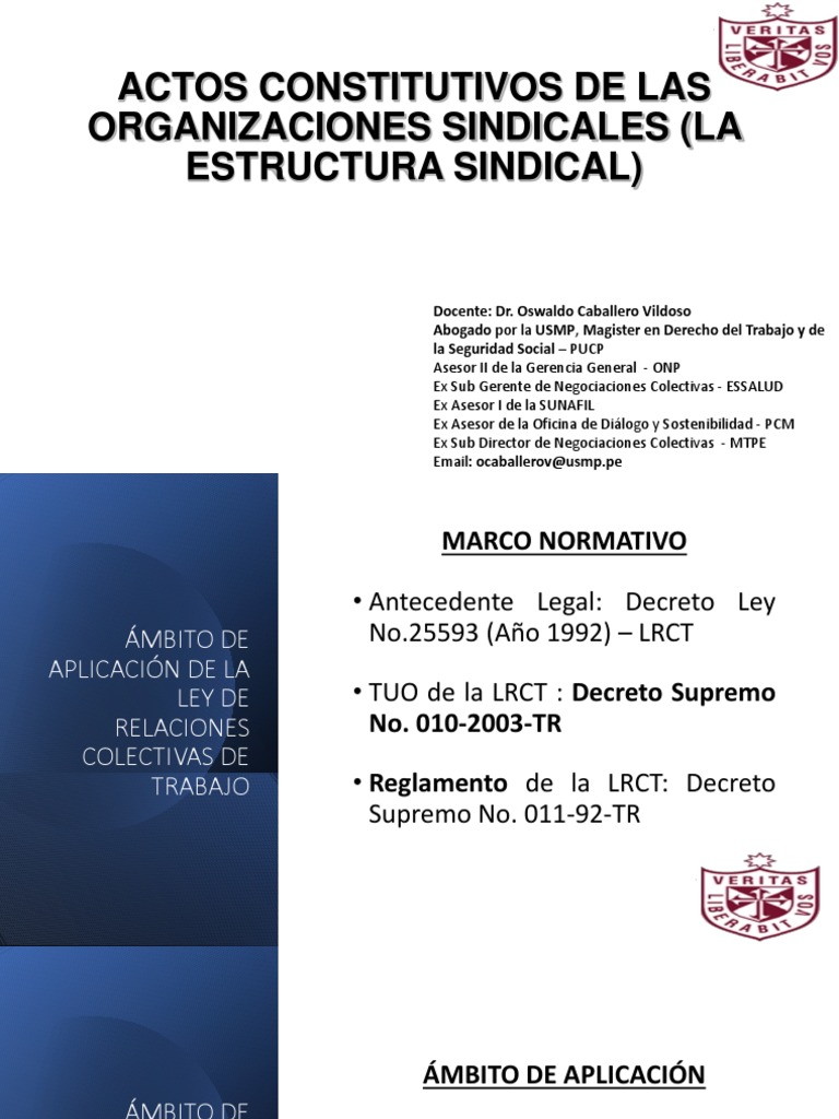 Estructura Sindical | PDF | Sindicato | Derecho laboral