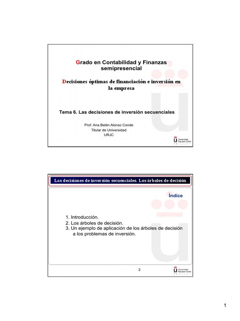 URJC - Grado Contabilidad y Finanzas (Semipresencial) - Decisiones de Inversión. Tema 6 | PDF ...