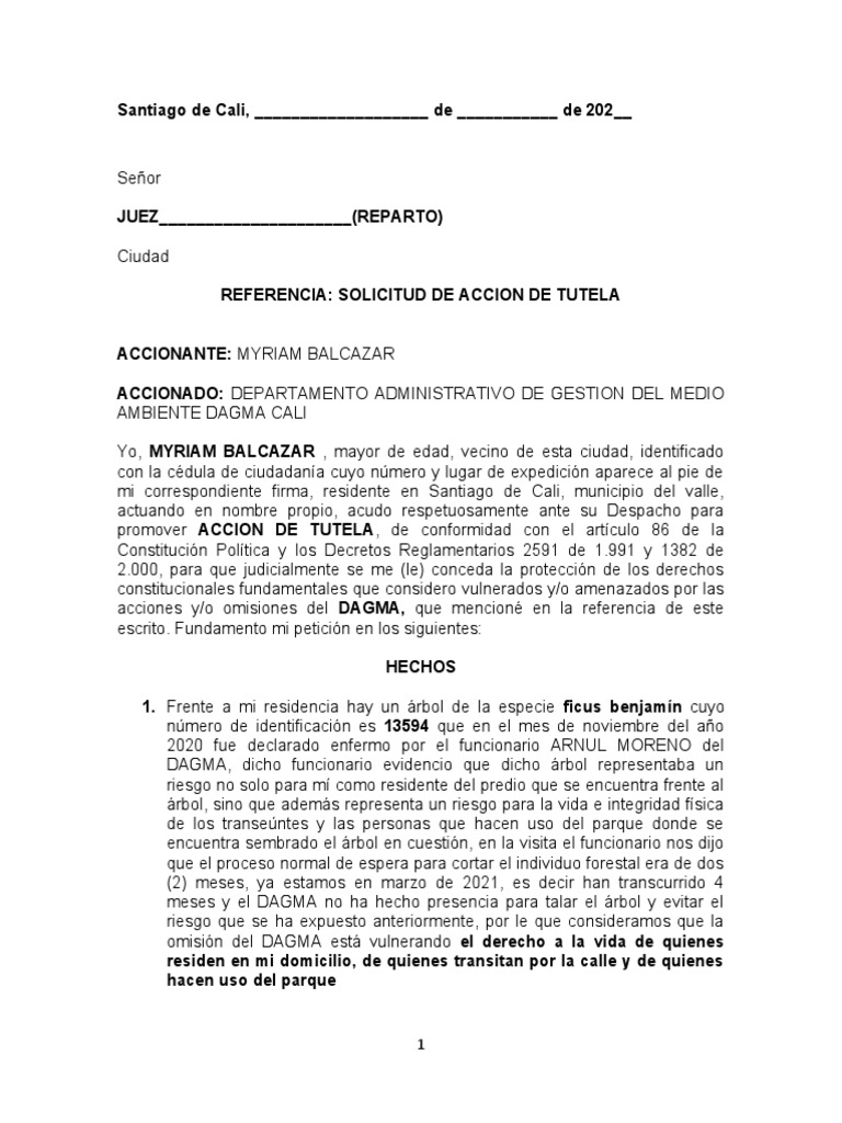Formato de Tutela | PDF | Gobierno | Justicia