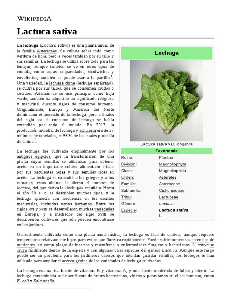 Lactuca Sativa | PDF | Lechuga | Plantas
