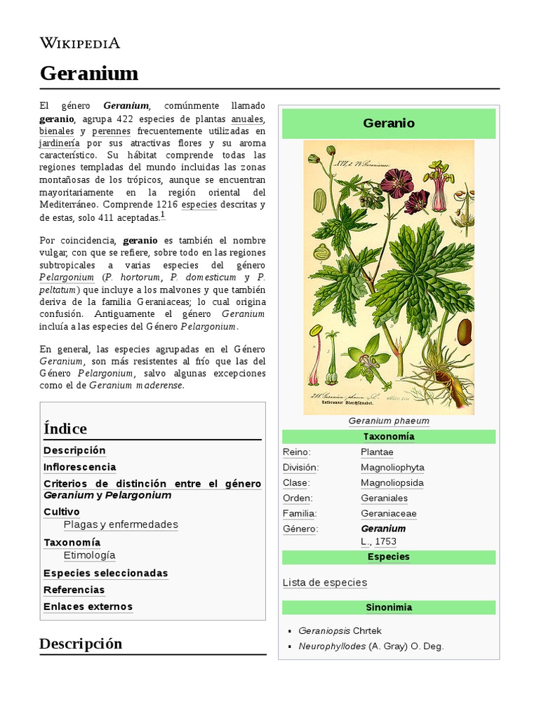 Geranium | PDF