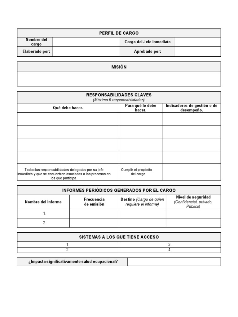 Perfil de Cargo | PDF