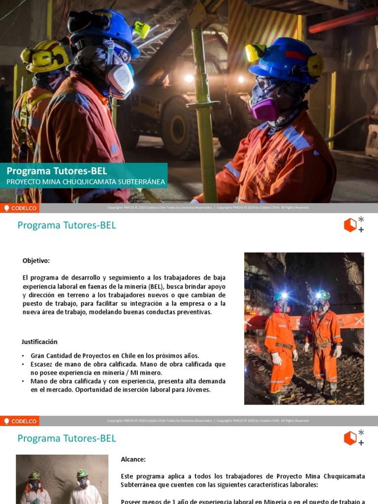 Programa Tutores-BEL 2021 | PDF | Minería | Chile