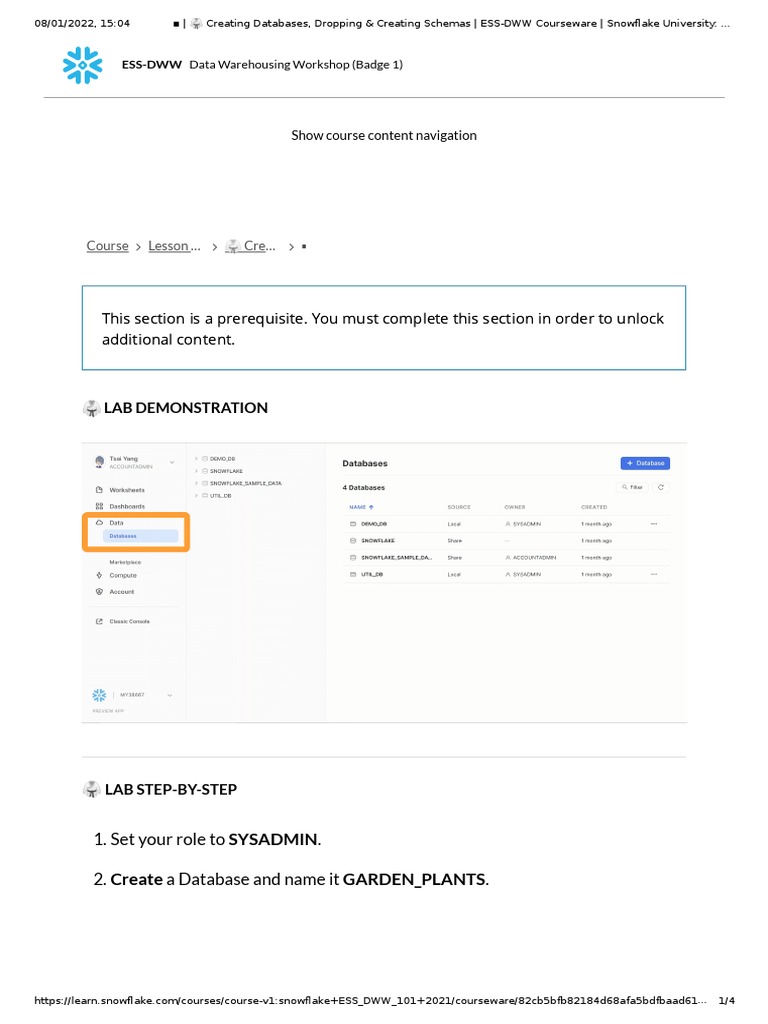 ? Creating Databases, Dropping & Creating Schemas - ESS-DWW Courseware - Snowflake University ...