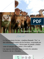 Lagrifresh: Gotas para sequedad ocular | PDF | Medicina CLINICA | Medicina