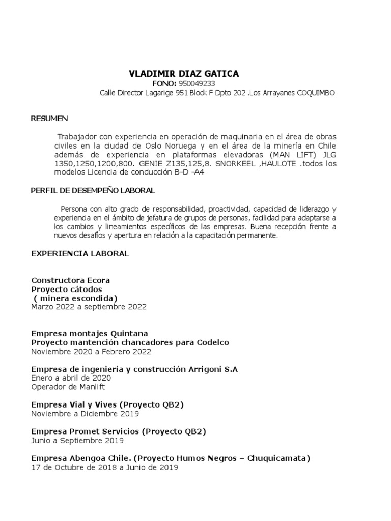 CV Vladimir Diaz Gatica | PDF | Minería | Economias