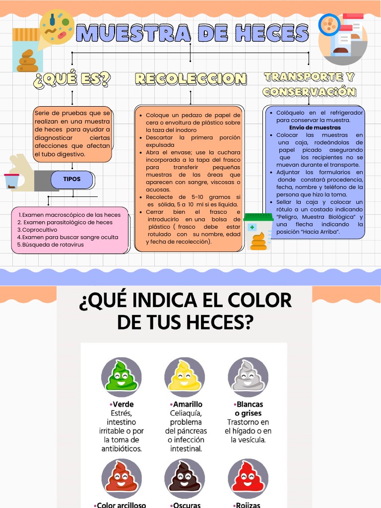 Muestra de Heces | PDF | Heces