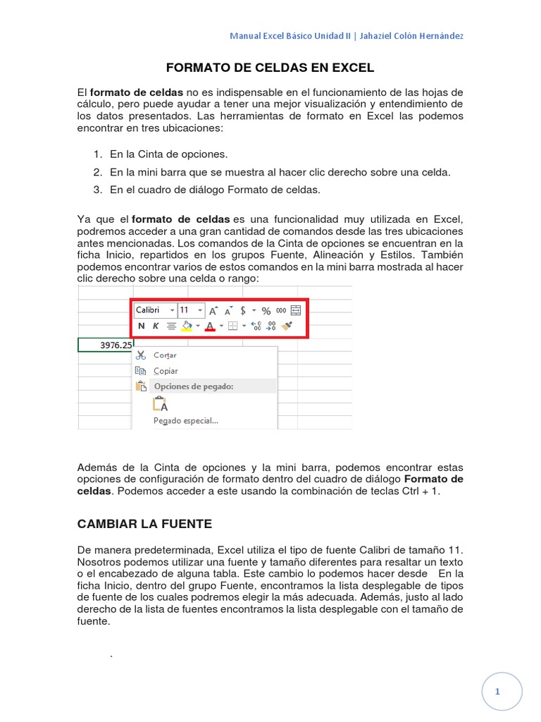 Formato de Celdas en Excel Básico | PDF | Microsoft Excel | Hoja de cálculo