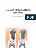 Primer Molar Inferior Temporal | PDF | Odontología | Ramas de Odontología
