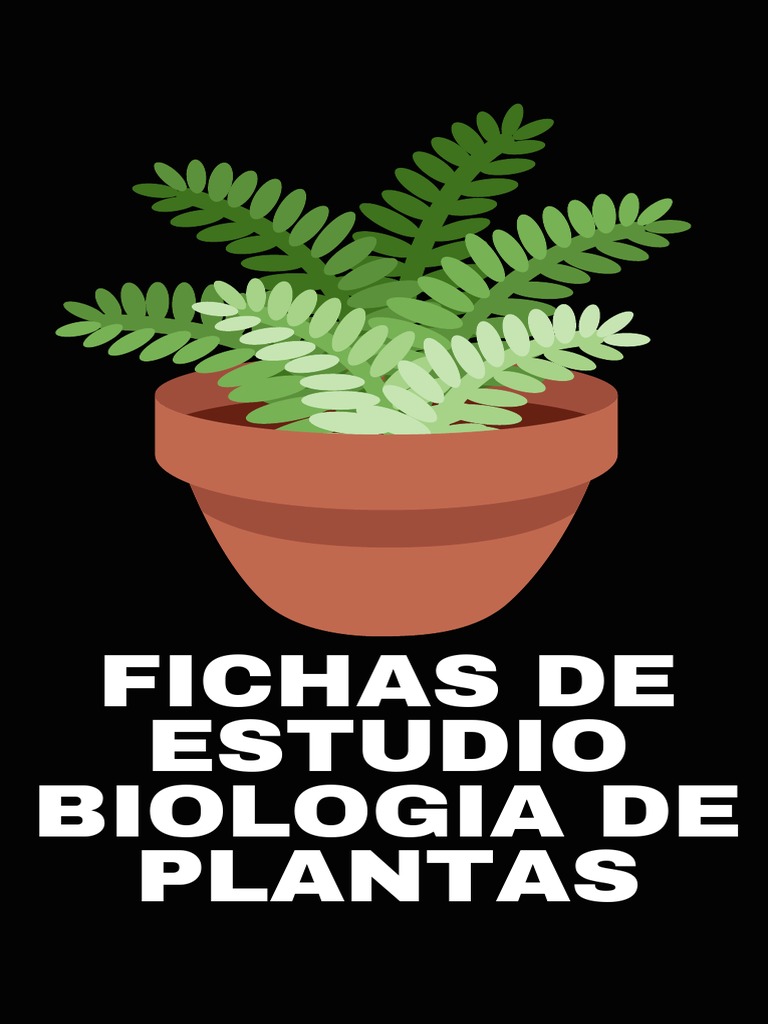 Fichas de Estudio Plantas | PDF | Plantas | Algas