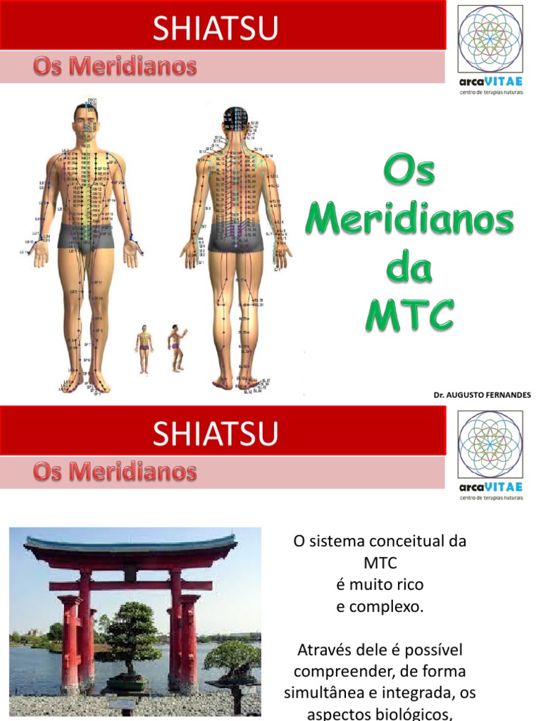 Shiatsu - Avanca Meridianos Da MTC | PDF | Meridiano (acupuntura) | Ritmo Circadiano