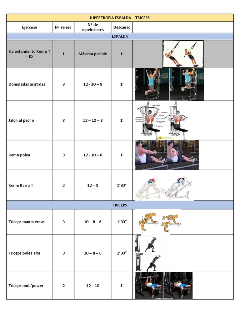 Hipertrofia Espalda - Triceps | PDF