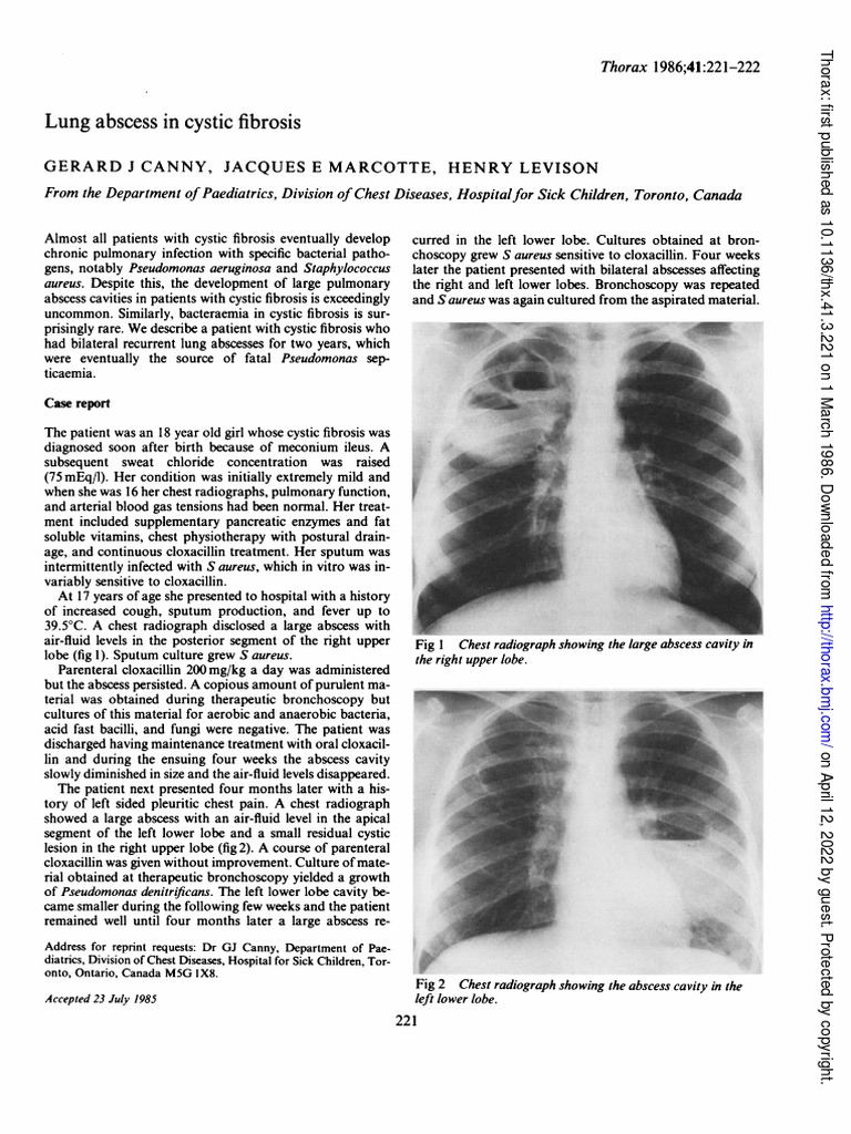 Abses Paru Jurnal | PDF | Lung | Respiratory Diseases