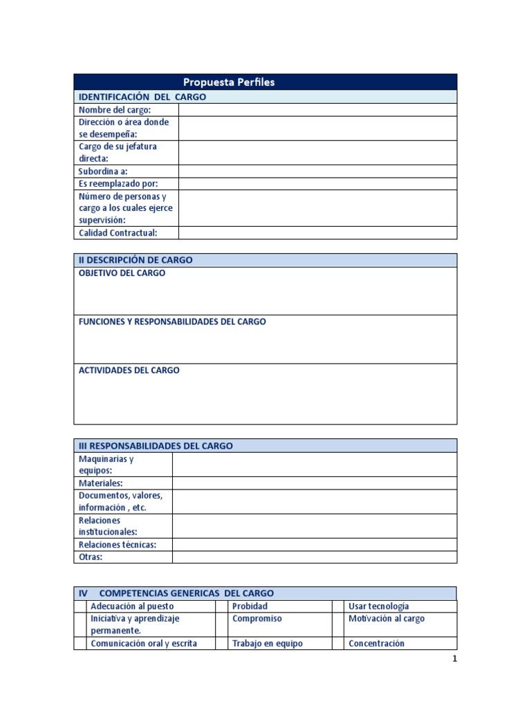 Formato Perfil de Cargo | PDF