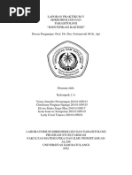 Teknik Inokulasi Bakteri pada Media | PDF