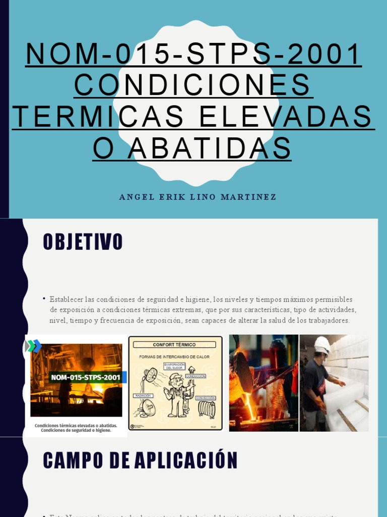 Nom 015 STPS 2001 | PDF