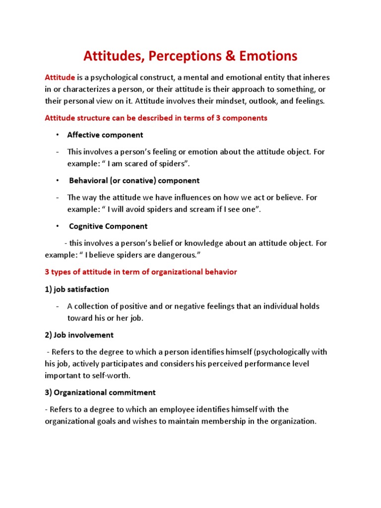 Attitudes, Perceptions & Emotions Explained | PDF | Attitude ...