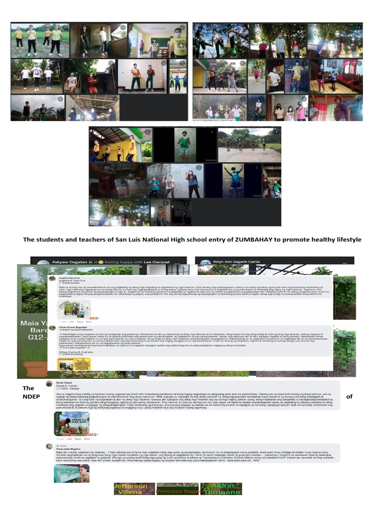 Ndep Narrative Report | PDF | Health Sciences