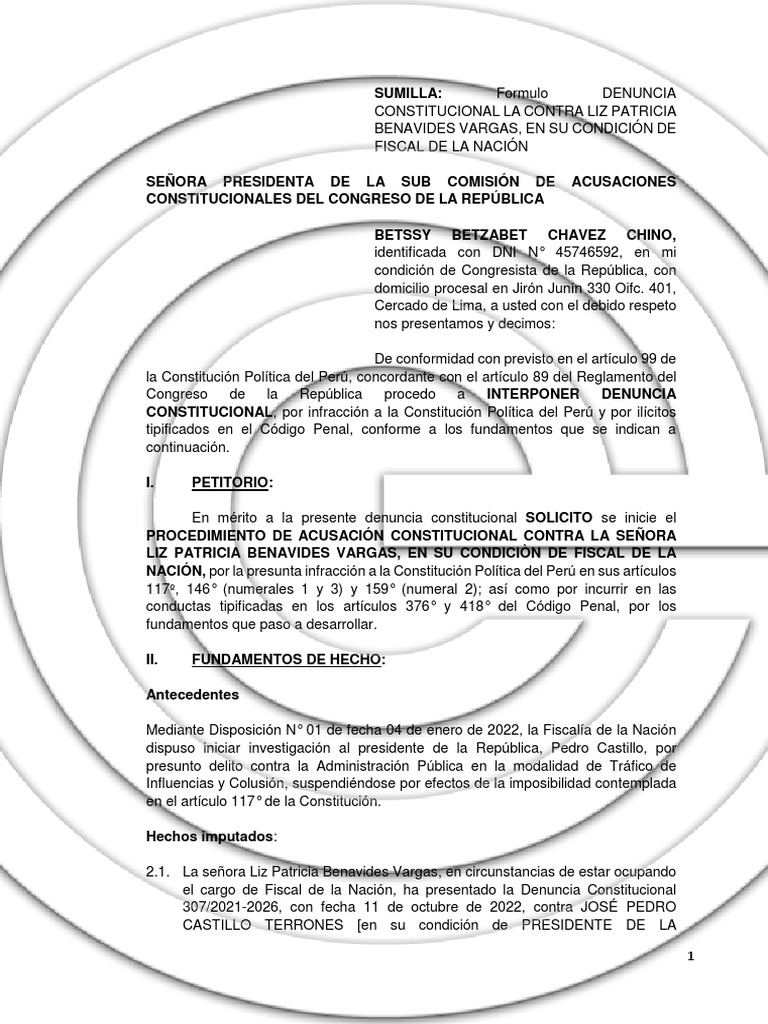 Denuncia Constitucional FN 2.1 | PDF