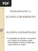Protocolo de Bartolinitis y Abscesos | PDF | Cuidado de la salud | Especialidades Medicas