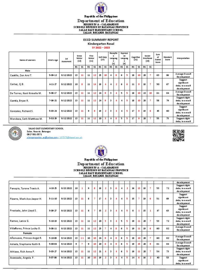 Eccd Summary Report | PDF | Social Institutions