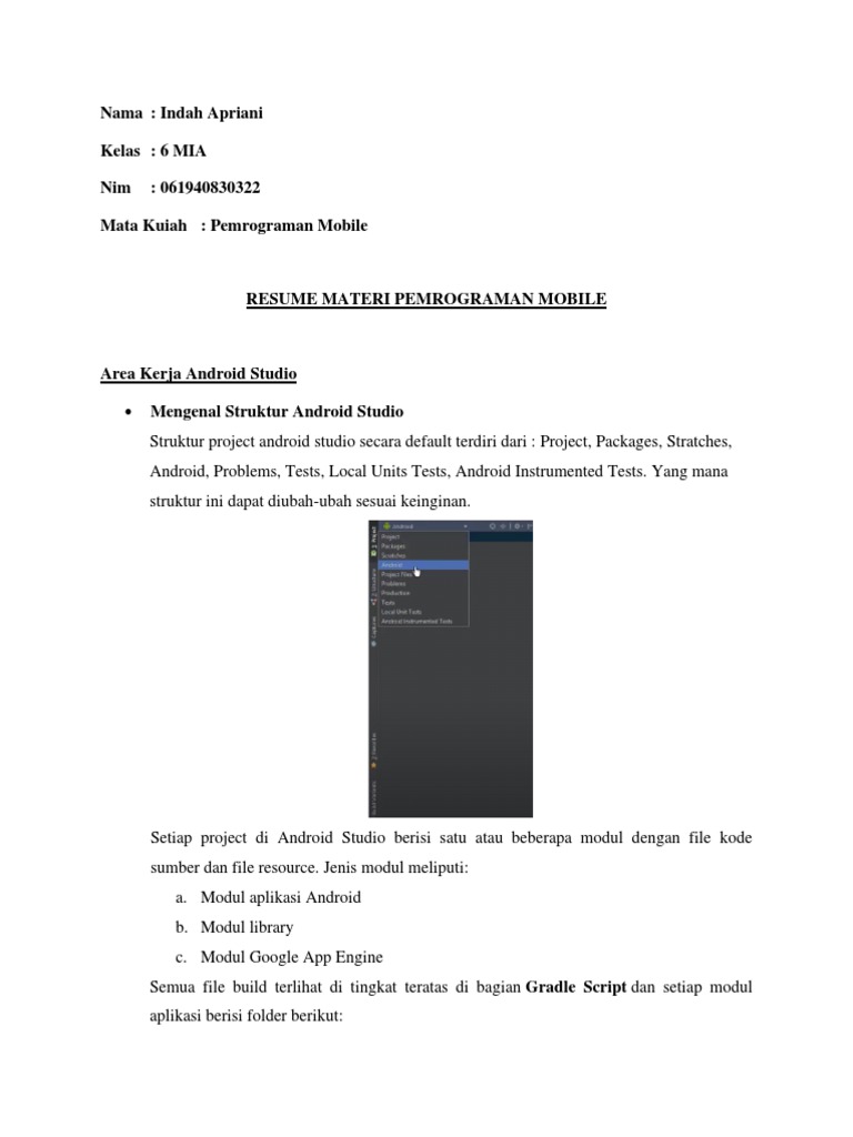 Indah Apriani - 6 MIA - Resume Pemrograman Mobile 15 Juli 2022 | PDF