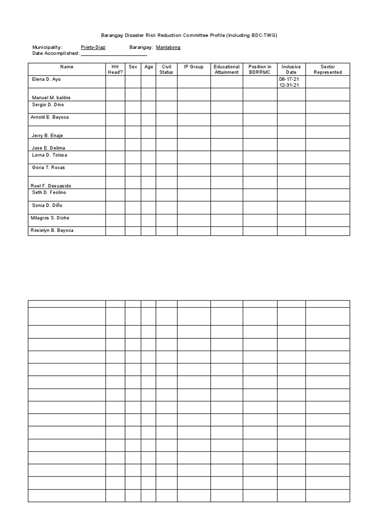 Annex B - BDRRMC Profile | PDF