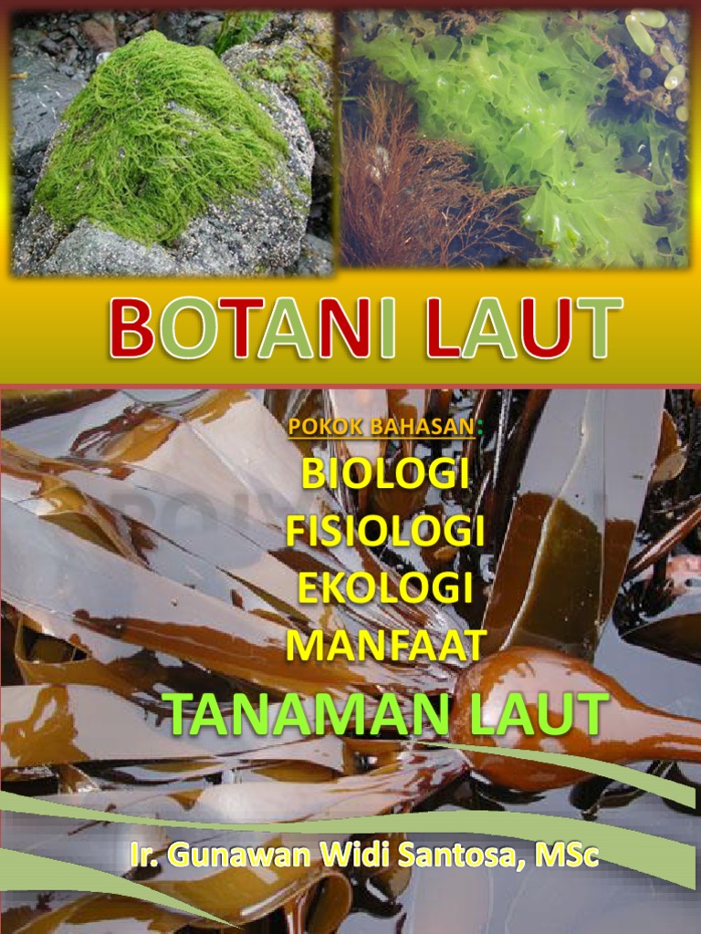 Pengertian Botani Laut Dan Pentingnya Tumbuhan Laut | PDF