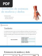 Mano en Garra: Causas y Tratamientos | PDF | Mano | Nervio