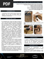 IRIS - Pocket - Guide - To - CKD - 2023 TRADUZIDO | PDF | Creatinina ...