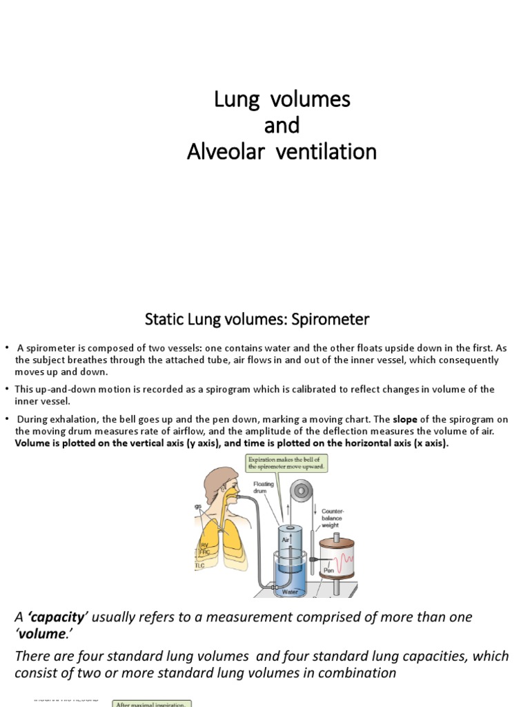 Lung Volumes Alveolar Ventilation | PDF | Breathing | Exhalation