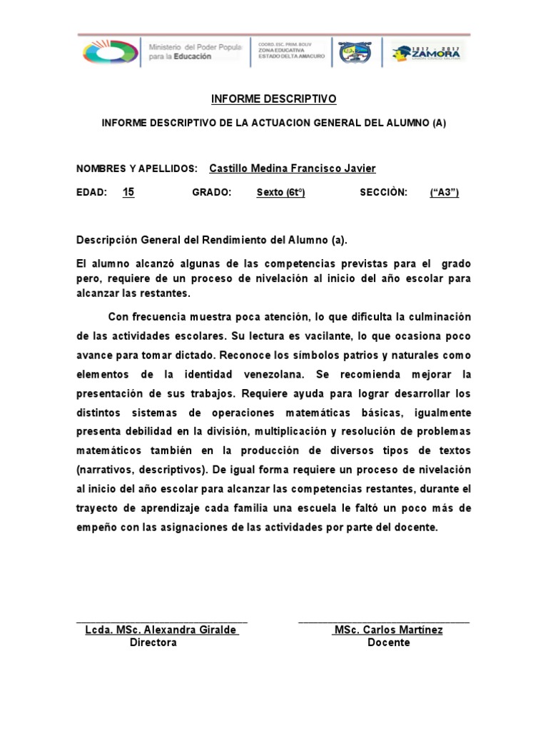 Informe Descriptivo | PDF | Matemáticas | Aprendizaje