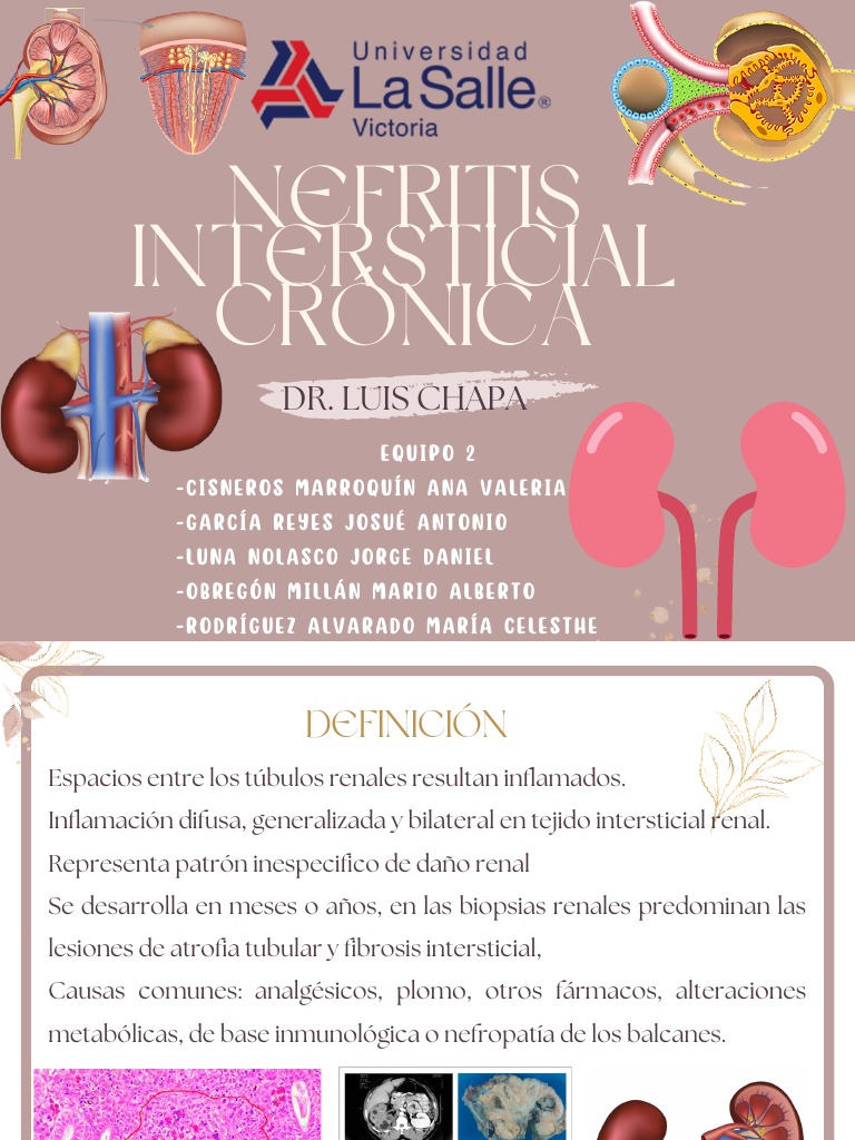 Nefritis Intersticial Cronica | PDF | Órgano (anatomía) | Ciencias de la Salud
