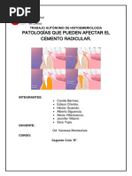 Tipos de Cemento Radicular: Acelular y Celular | PDF | Ramas de ...
